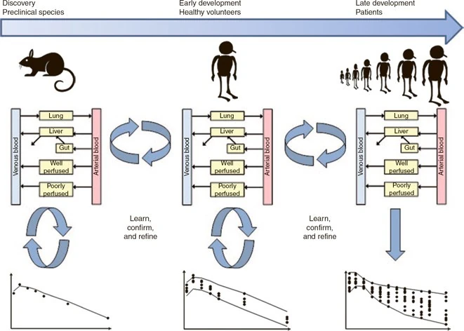 Preclinical PBPK Model Translated for Human Exposure Prediction ...